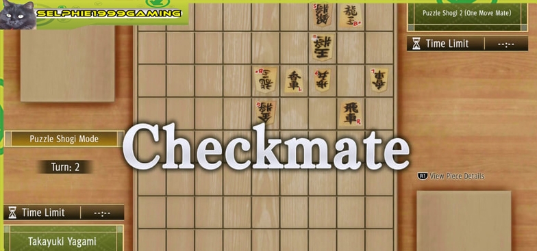 Judgment : Shogi Puzzles Guide