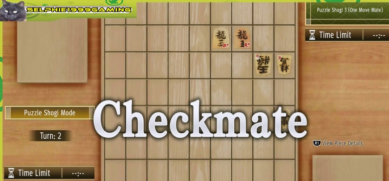 Judgment : Shogi Puzzles Guide