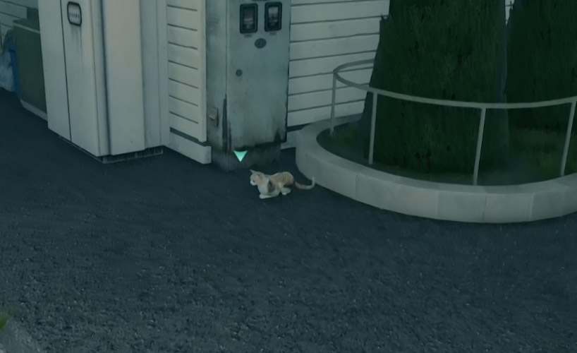 Yakuza: Like A Dragon – Please Find My Cat 1 (Part-Time Hero) Locations ...