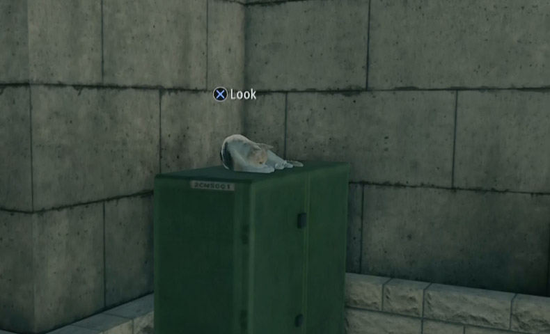 Yakuza: Like A Dragon – Please Find My Cat 1 (Part-Time Hero) Locations ...