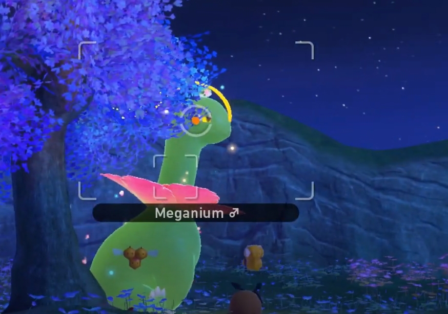 New Pokemon Snap : Meganium's Pal (Meganium) Request Guide