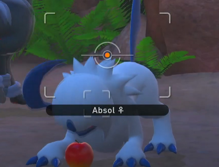 New Pokemon Snap : A White Pokemon (Absol) Request Guide