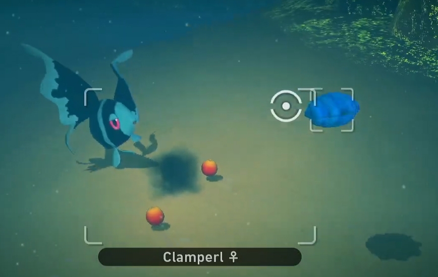 New Pokemon Snap : Swimming Clamperl (Clamperl) Request Guide