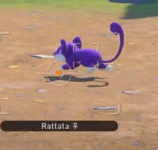 New Pokemon Snap : At Home In The Dark (Rattata) Request Guide