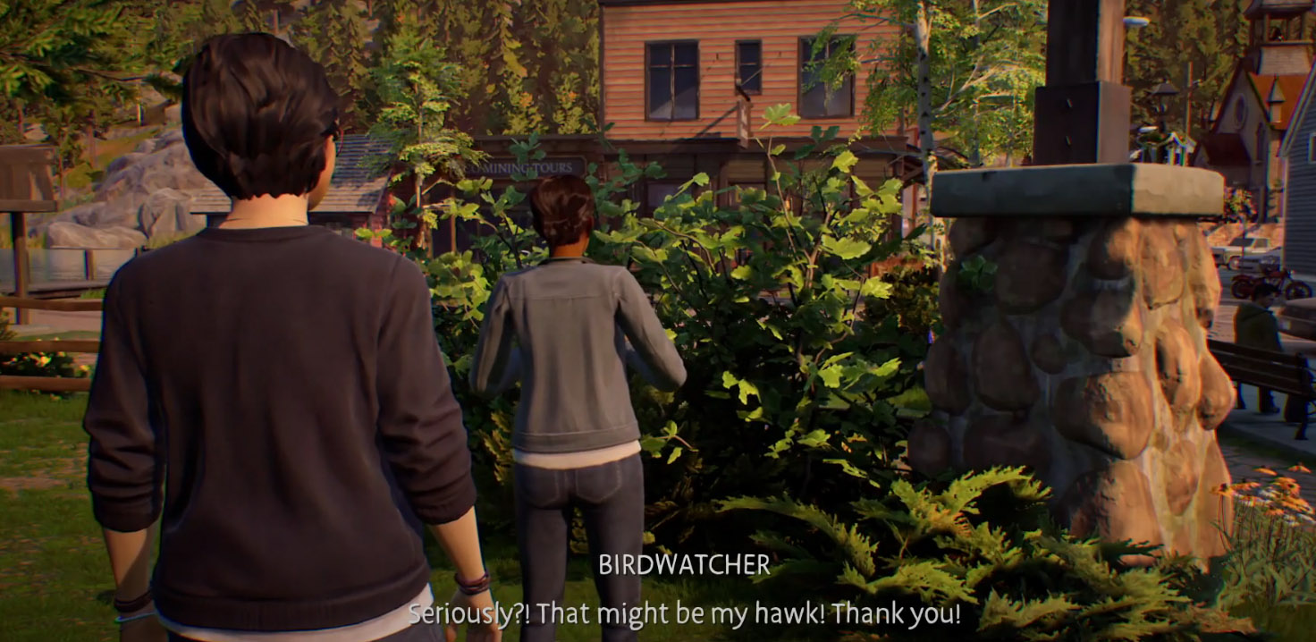 Life Is Strange: True Colors – Birdwatcher (Optional Task - Bird ...
