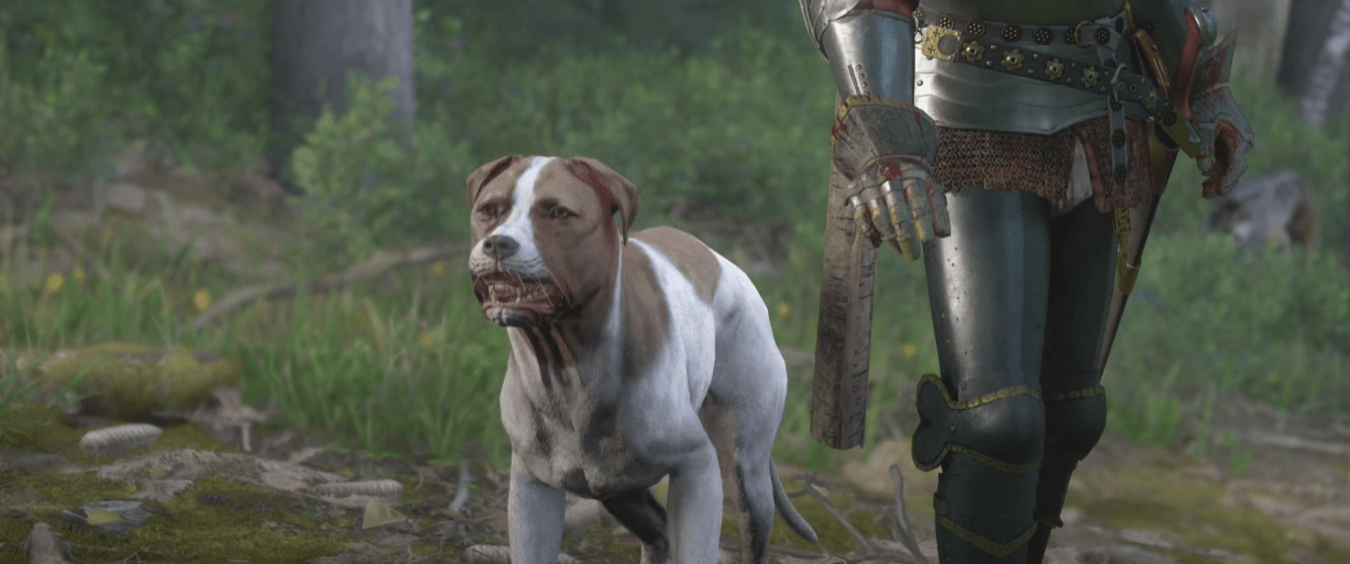 Kingdom Come: Deliverance 2 - Man's Best Friend (Mutt) Trophy Achievement