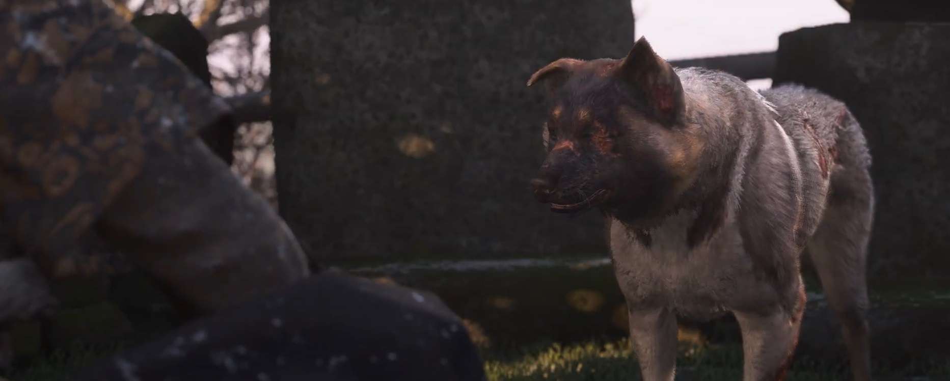 Assassins Creed Shadows - Thrown to the Dogs (Finding The Key) Quest